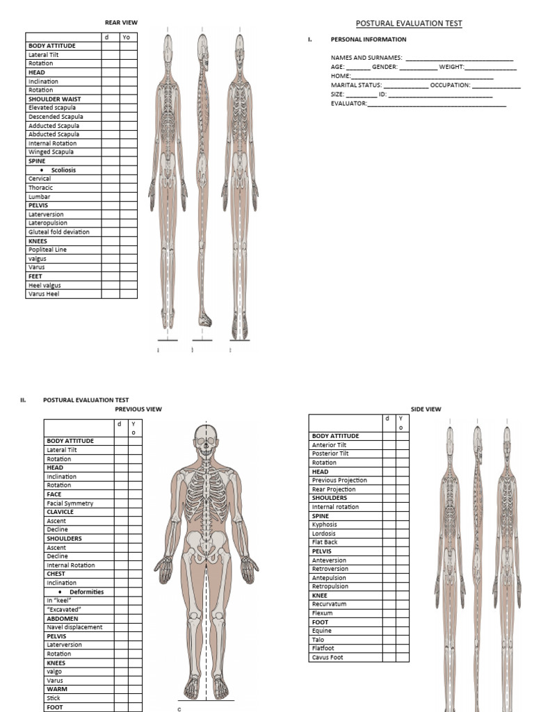 Posture Test | Download Free PDF | Anatomical Terms Of Motion | Pelvis
