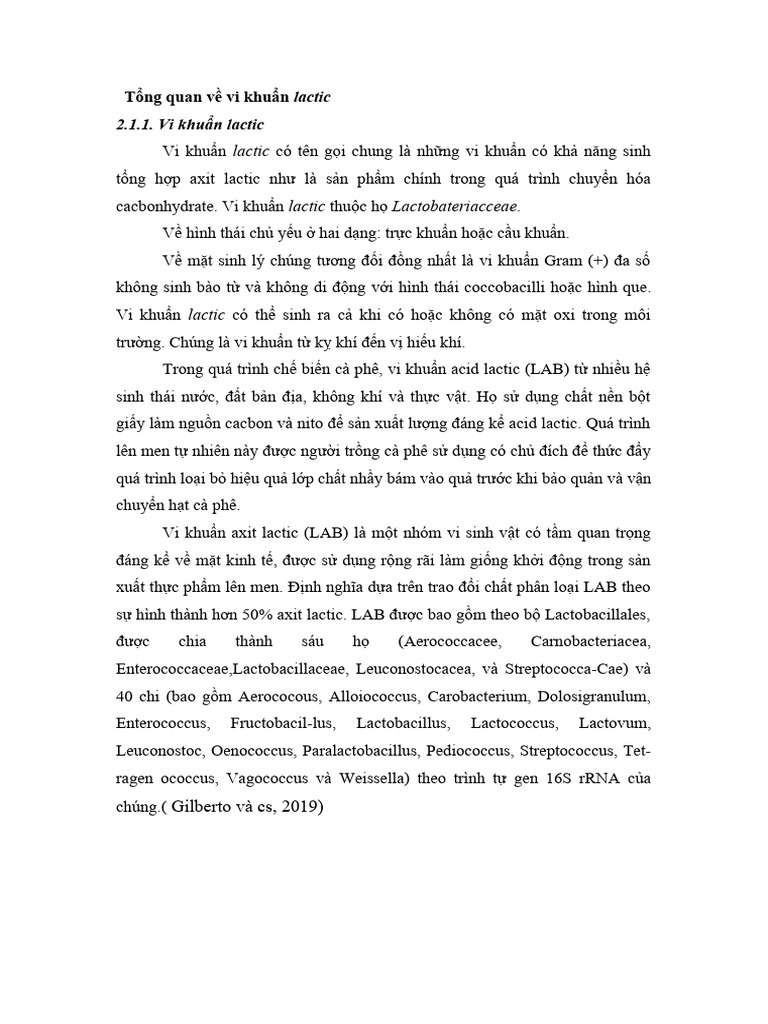 T NG Quan Axit Lactic | PDF