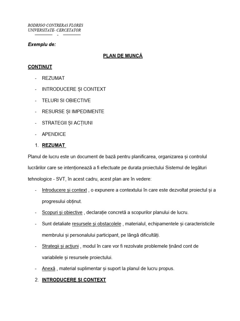 Exemplu de Plan de Lucru | PDF