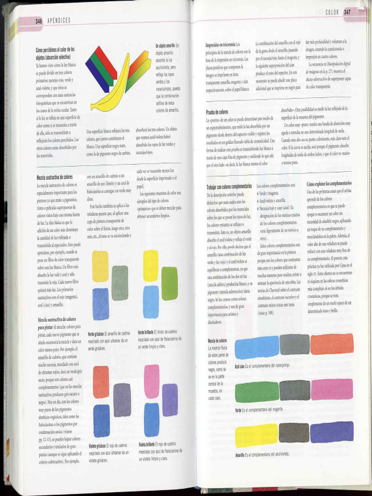 El Color Smith Libro Artista | PDF