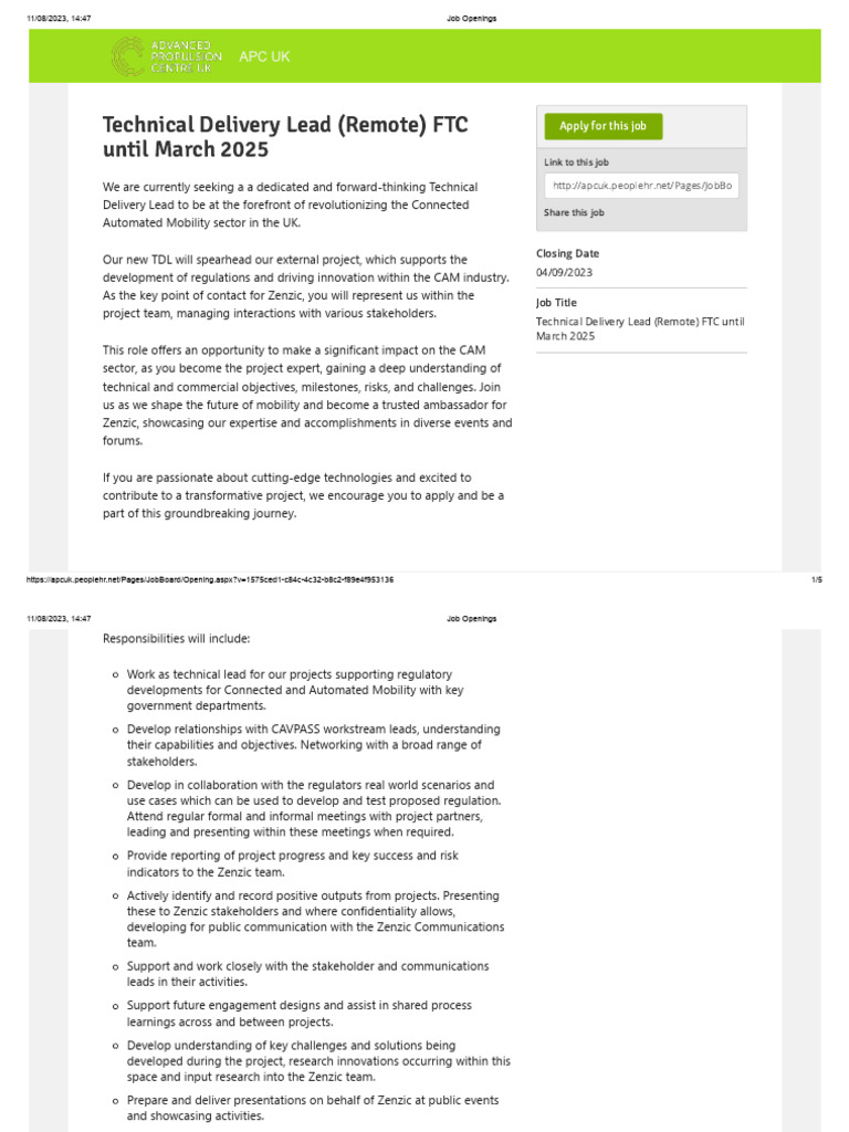 Technical Delivery Lead | PDF