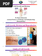 Mitosis in Human Skin Cells Study | PDF | Mitosis | Cell Biology