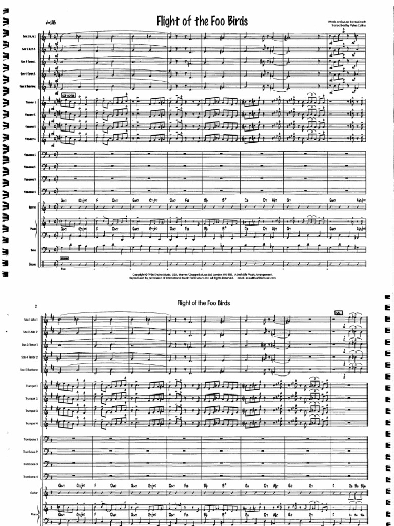 Flight of The Foo Birds | PDF