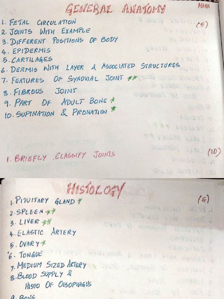 Anat Impo Questions | PDF | Ankle | Knee