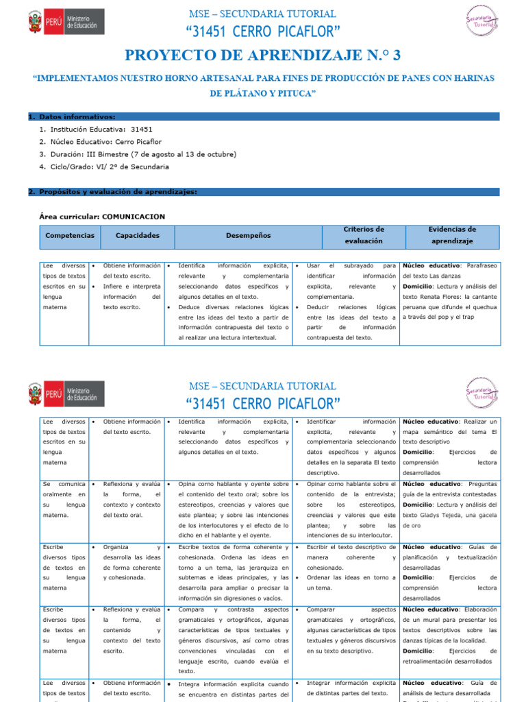 ABP-2°-SECUNDARIA | PDF | Comprensión lectora | Comunicación humana