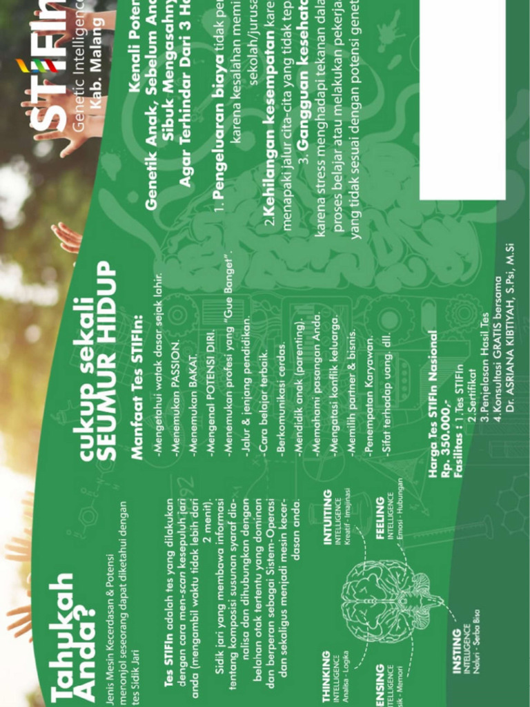 2020-Flyer-Tes STIFIn | PDF