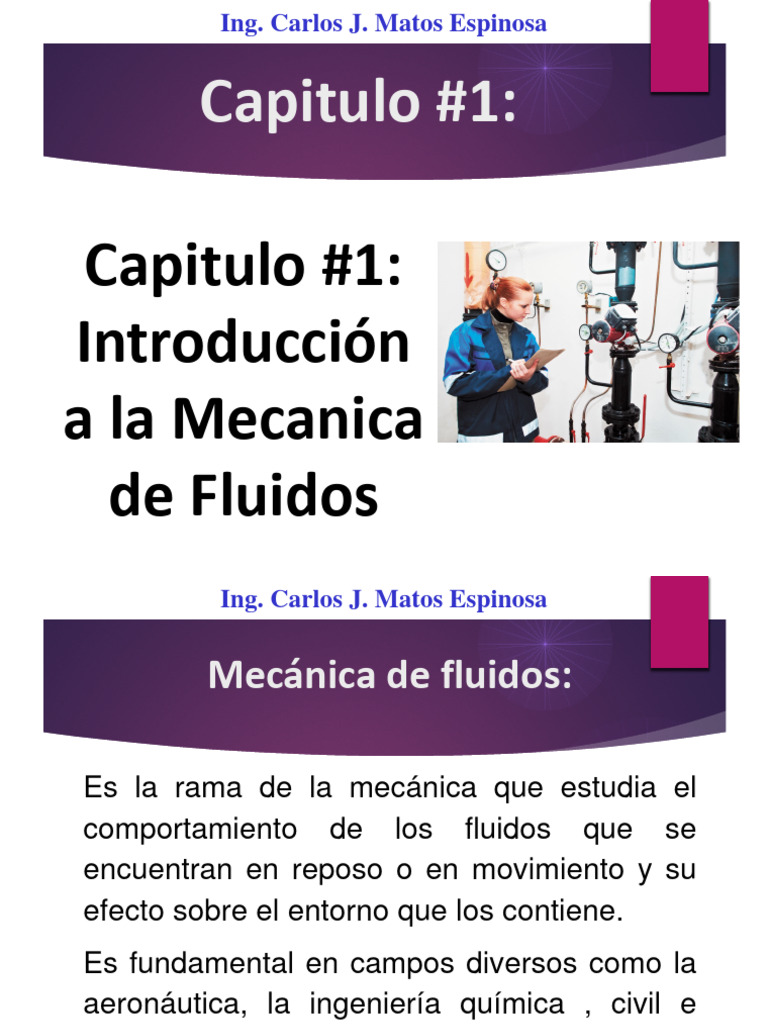 Capitulos Unidos Juntos Primer Parcial - Merged | PDF