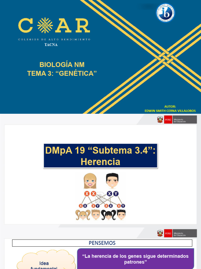 DMpA 19 Herencia | PDF