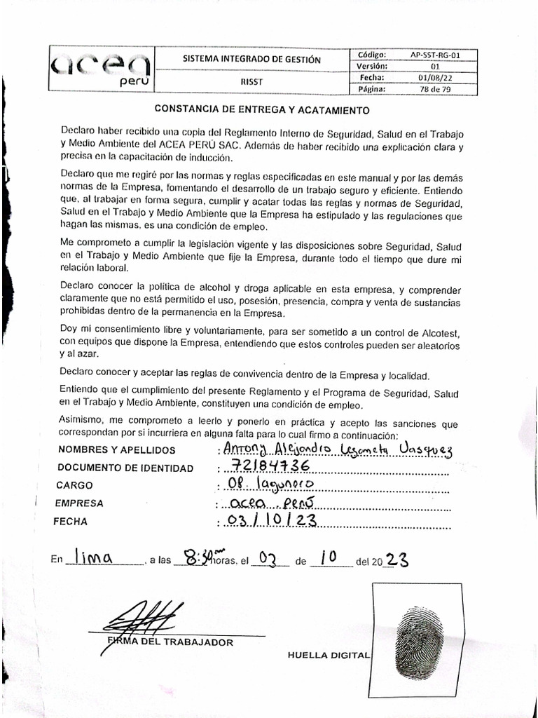 Registro de Entrega Del RISST - Antony Lezameta Vasquez - Op. Lagunero - SECTOR 1 | PDF