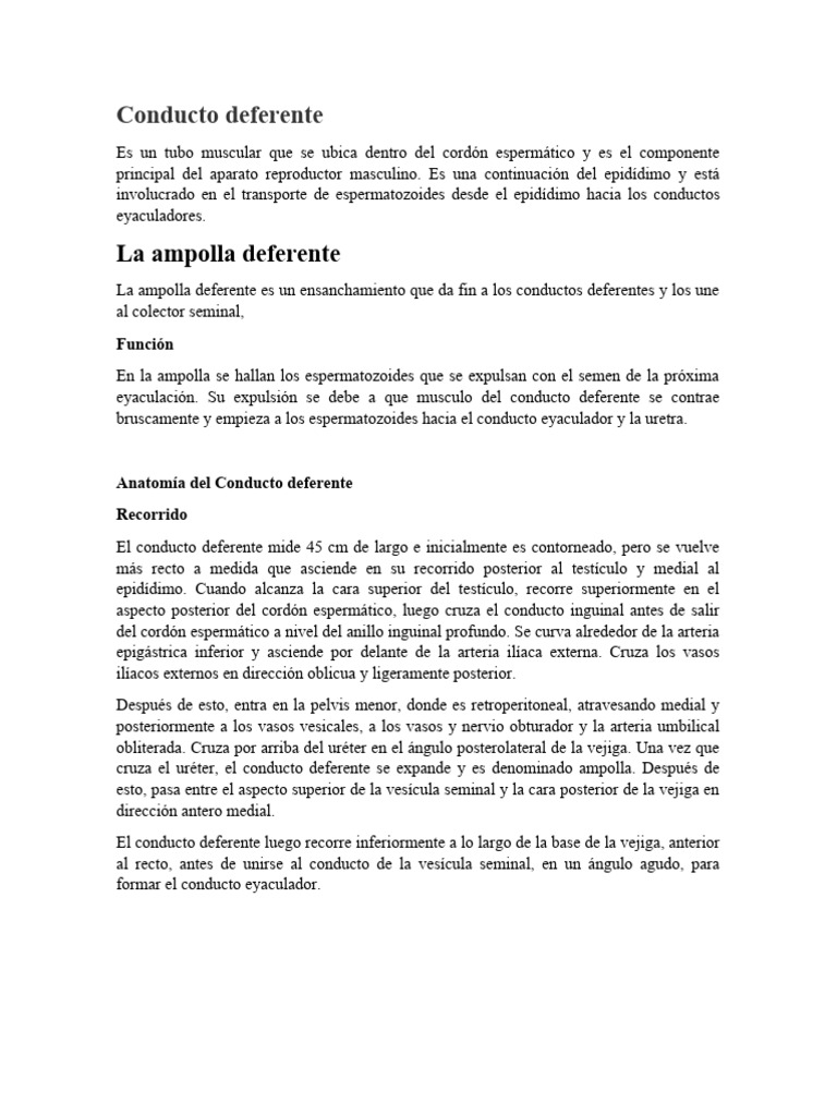 Conducto Deferente y Conclucion | PDF | Sistema reproductivo ...