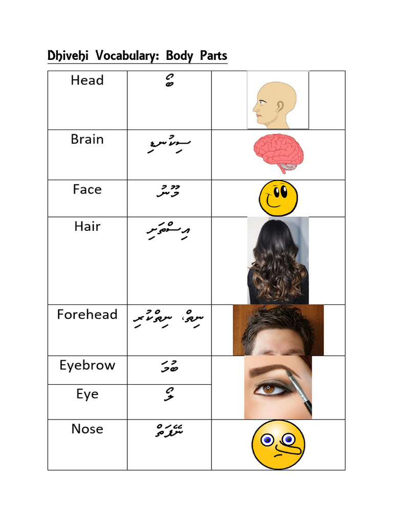 Dhivehi Body Vocabulary | PDF