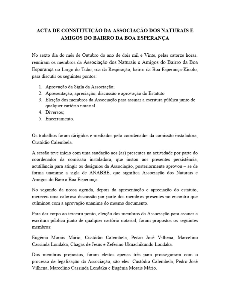 Acta Da Assembleia Constituinte | PDF