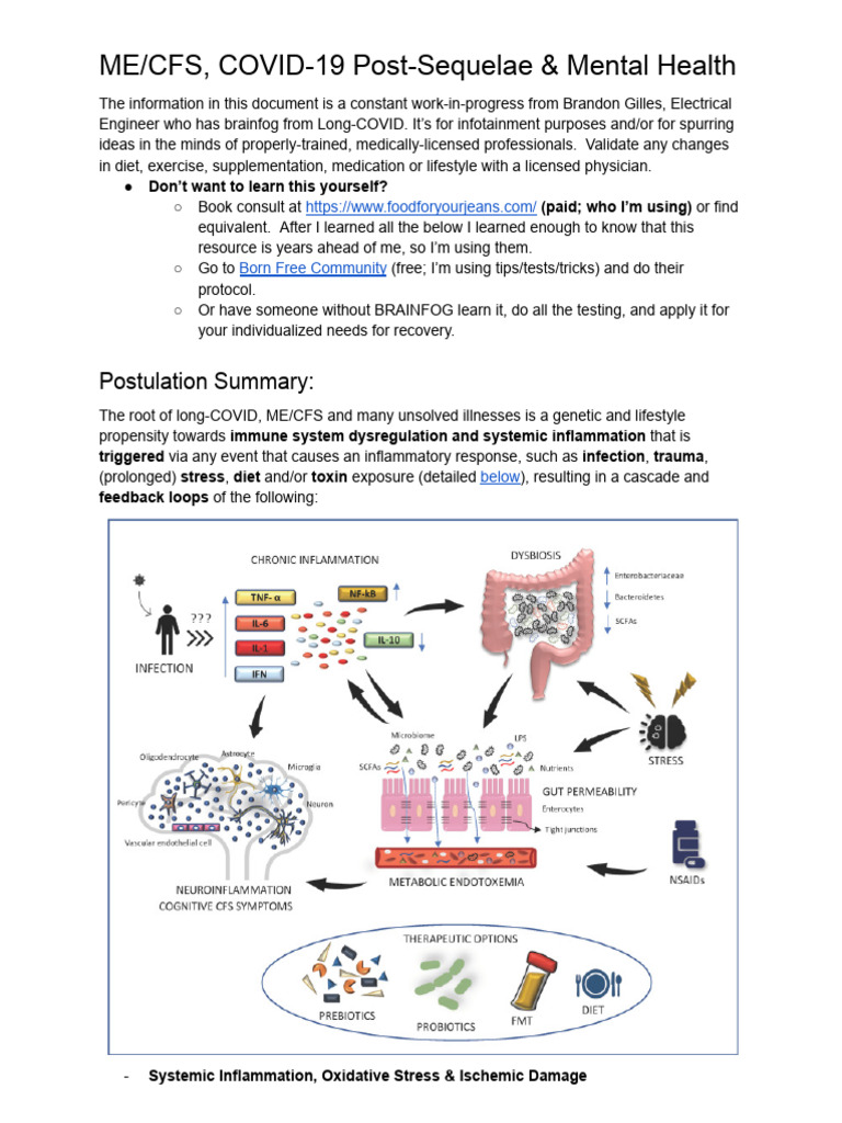 CFS Research Long Covid | PDF | Macrophage | Inflammation