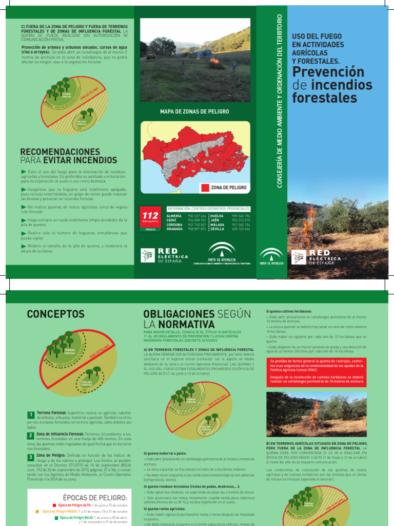 AF Tripticousodelfuego | PDF | Los bosques | Habitat