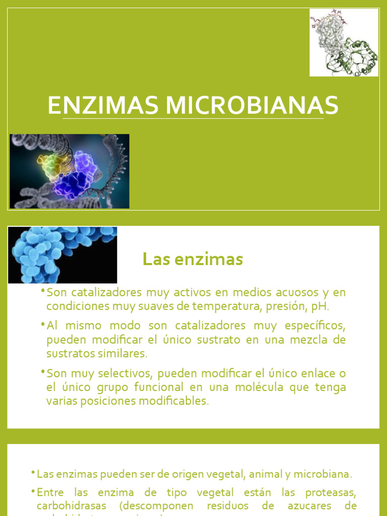 Enzimas Microbianas | PDF | Enzima | Glucosa