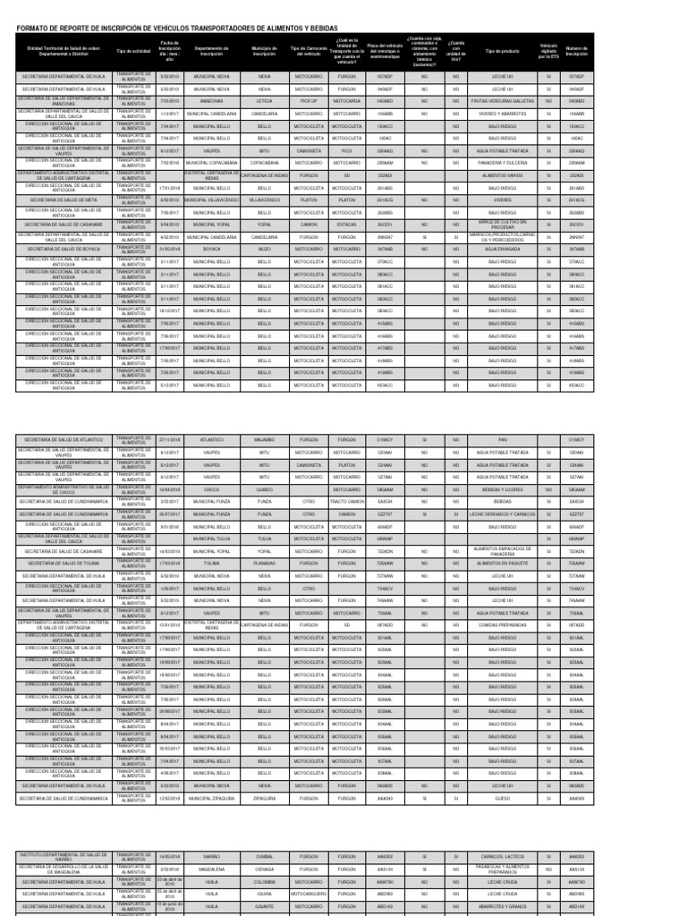Consolidado Vehículos | PDF