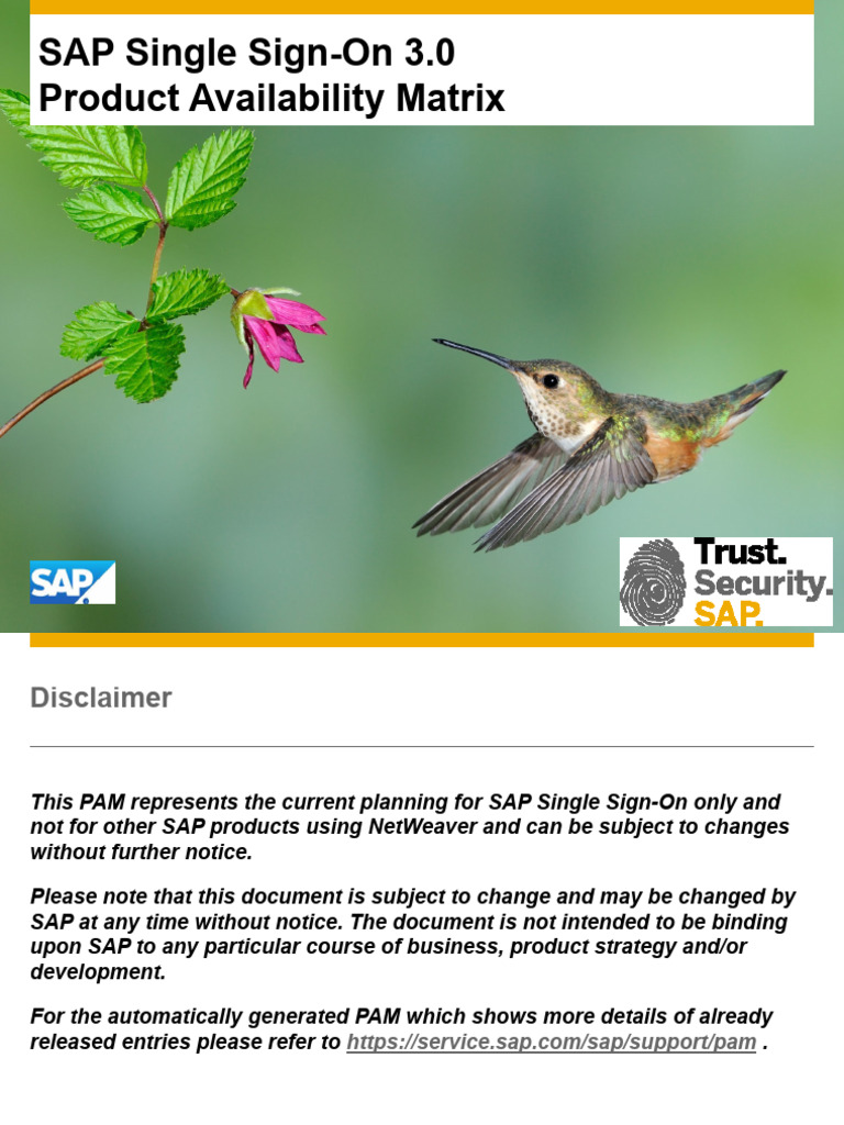 Sap Single Sign On 3 0 Product Availabil Pdf Microsoft Windows Internet Explorer