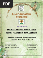 CBSE 12 Commerce Project | PDF