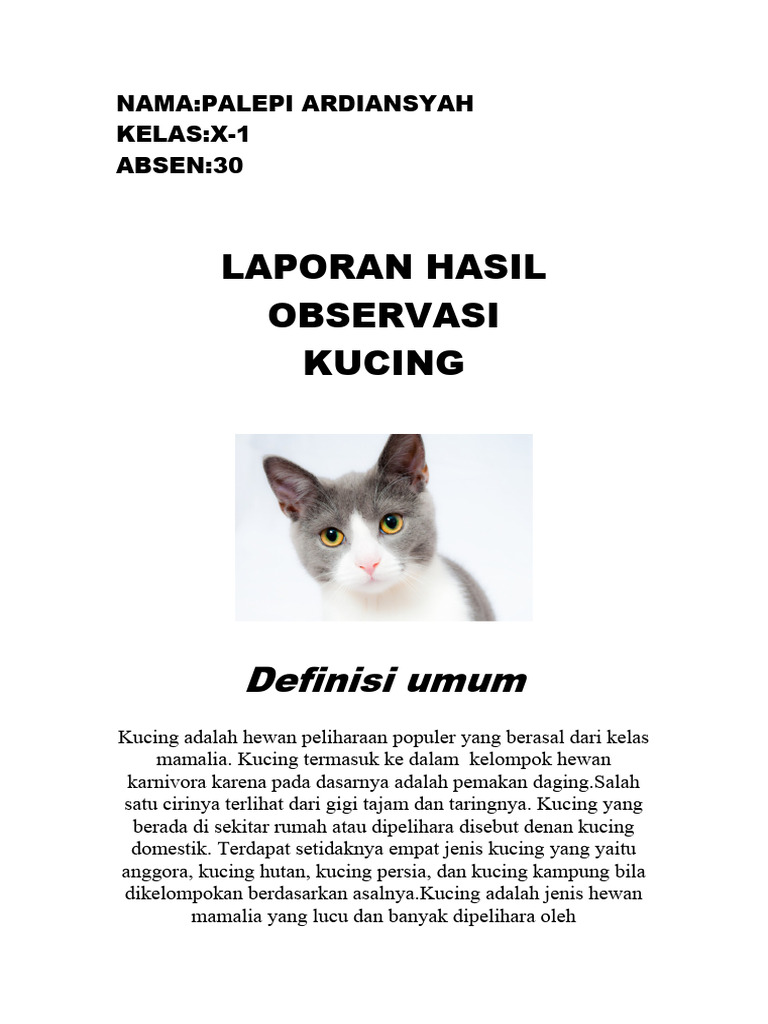 Laporan Hasil Observasi Kucing | PDF