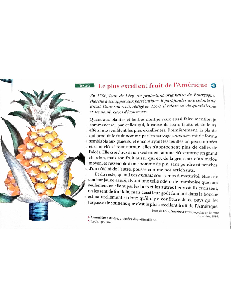 Jean de Léry - L'Ananas | PDF