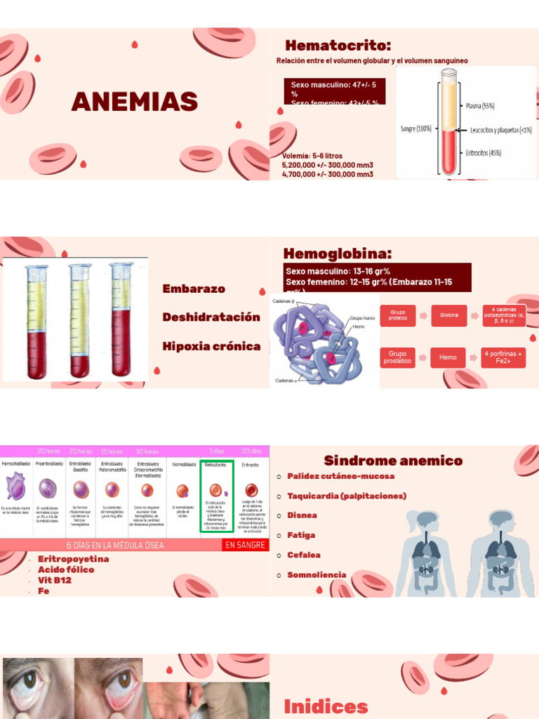 9 - Anemias | PDF | Anemia | Patología
