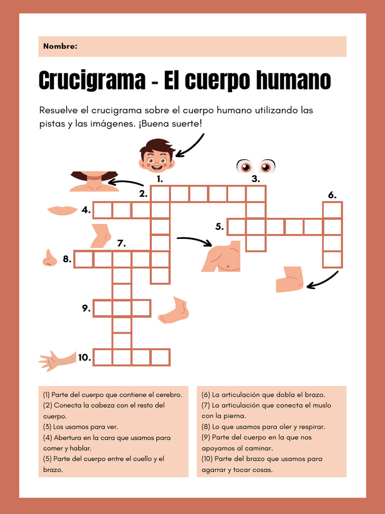 Crucigrama del Cuerpo Humano | PDF