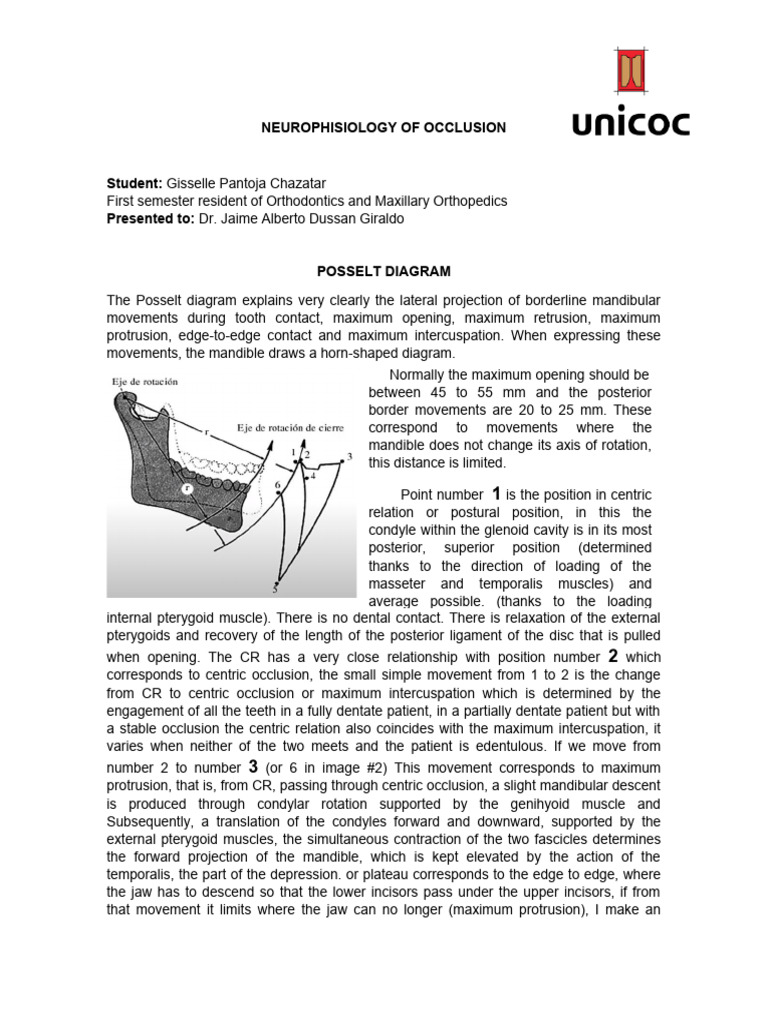 Posselt Diagram | PDF | Human Anatomy | Dentistry Branches