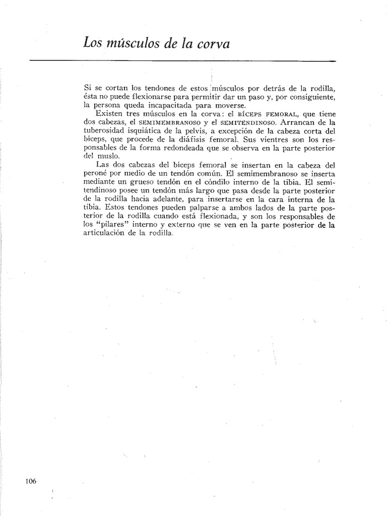 Músculos de La Corva | PDF