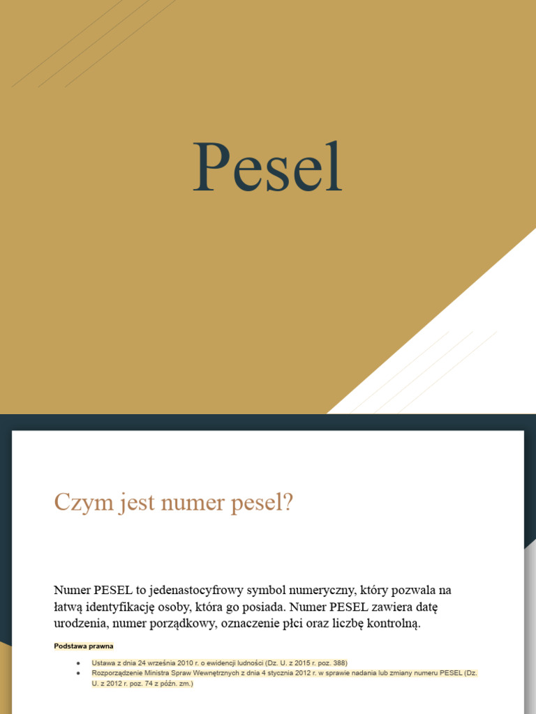 Pesel Regon | PDF
