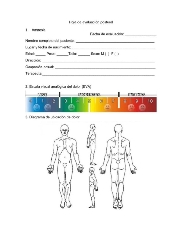 Hoja de Valoración Postural | PDF | Medicina CLINICA | Anatomía humana