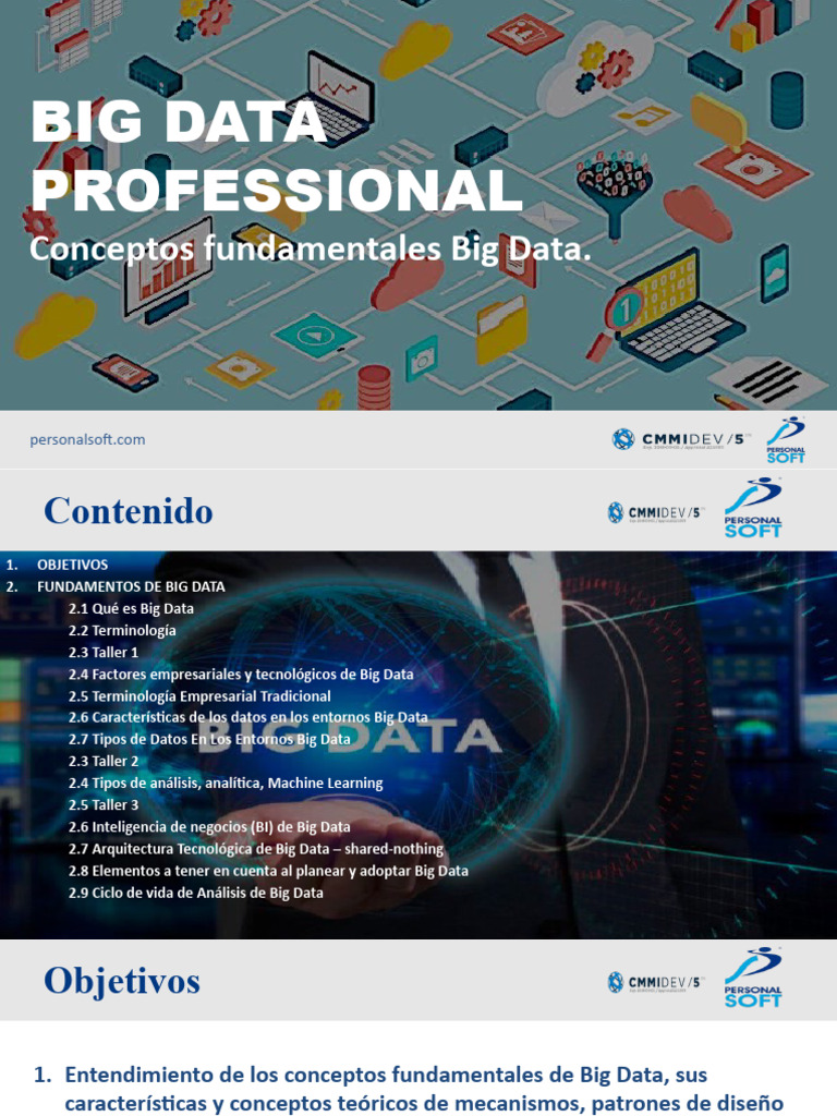 1 Big Data Professional Fundamentos v2 - Conceptos | PDF | Big Data | Aprendizaje automático