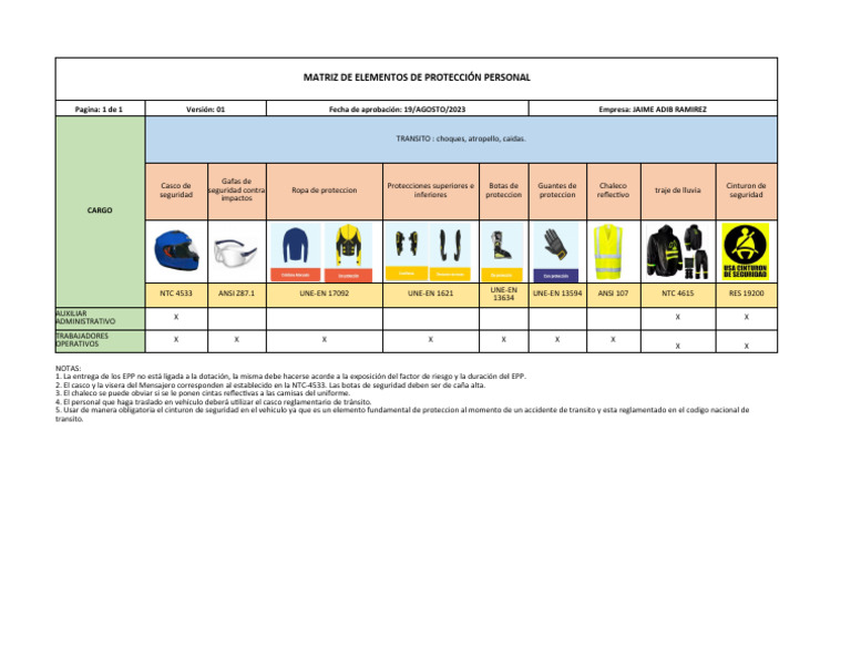 12 MATRIZ EPP, CONDUCTOR O MENSAJERO | PDF | Casco