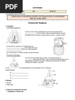 Experimento Tinta Invisible Con Curcuma - 20250203 - 094212 - 0000 ...