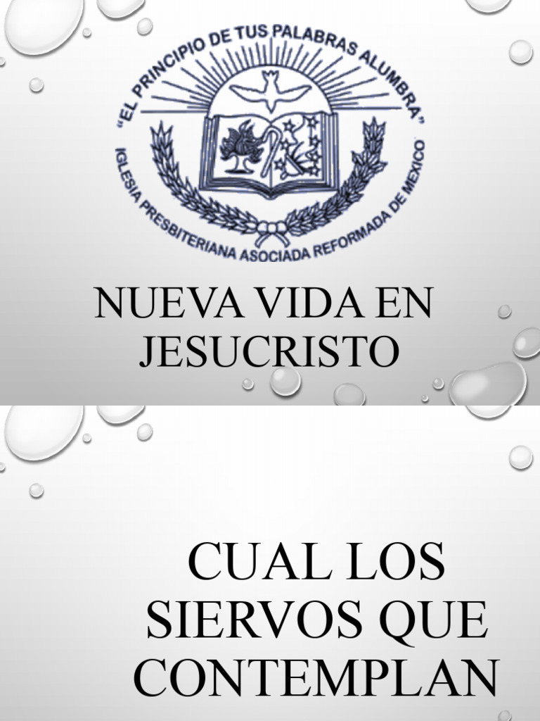 065 Cual Los Siervos Que Contemplan | PDF