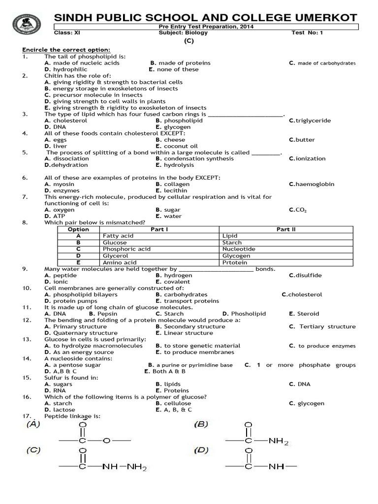 Class 11 Biology MCQs for Sindh Board | PDF | Enzyme | Bacteria