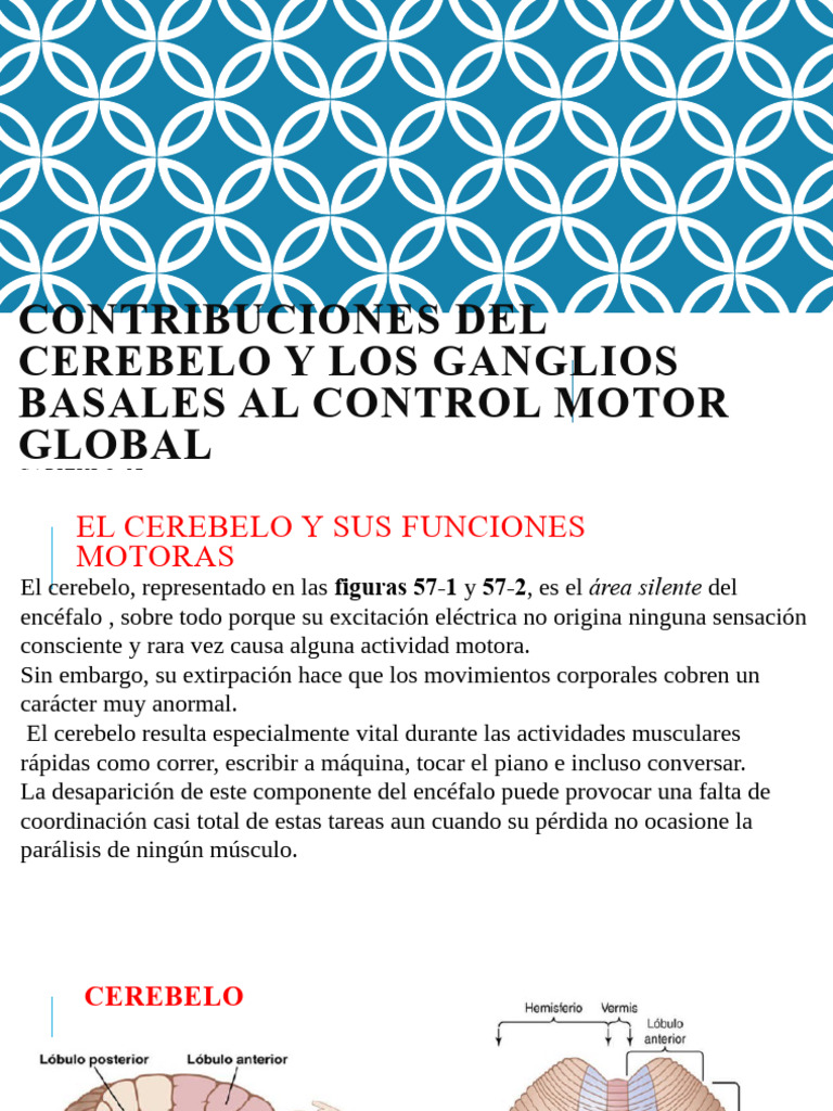 Capitulo 57 Fisiologia de Guyton | PDF