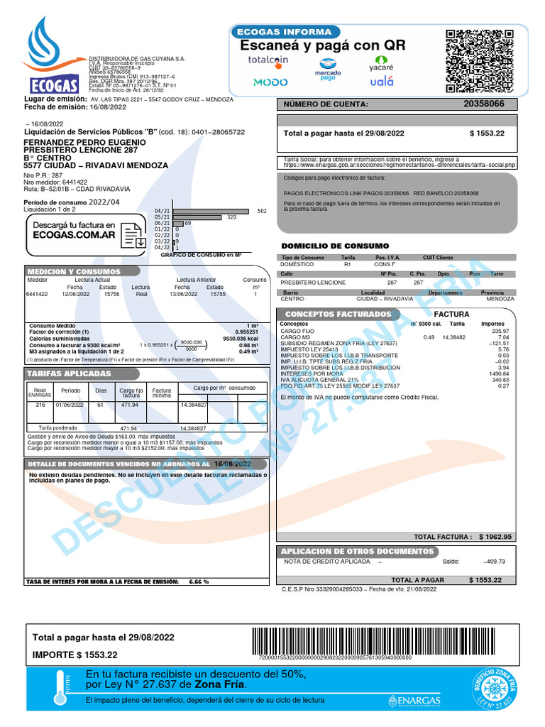Factura Debito ECOGAS Nro 28065722 20358066 | PDF