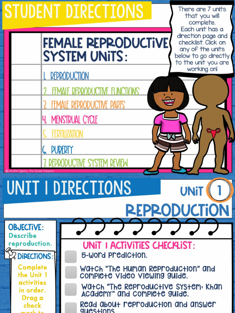 Female Reproductive System | PDF