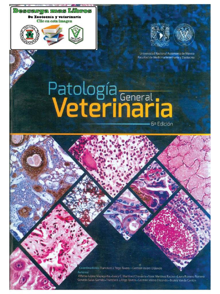 Temarios para ANATO PATO | PDF | Cáncer | Neoplasias Temarios para ANATO PATO | PDF | Cáncer | Neoplasias