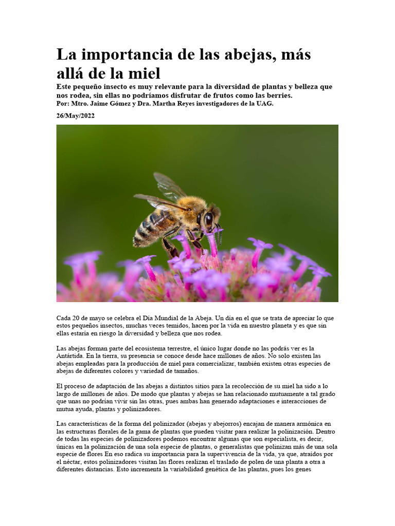 ABEJAS | PDF | Polinización | Abejas
