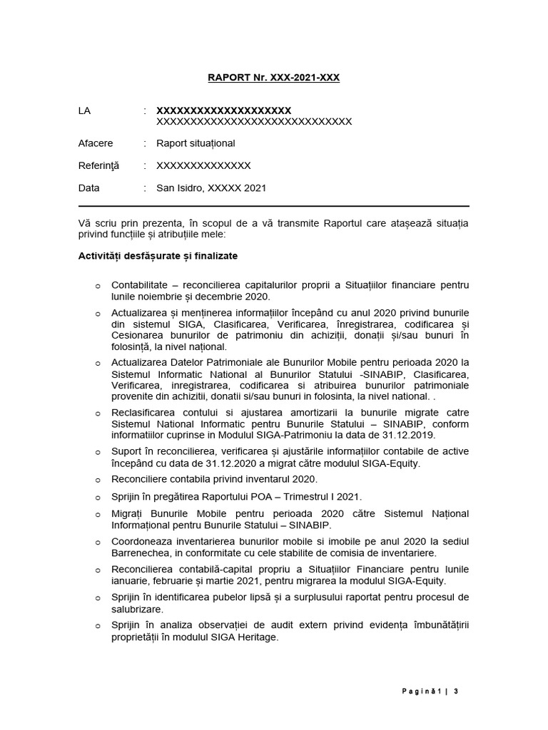 Model de Raport de Starea Detaliat | PDF