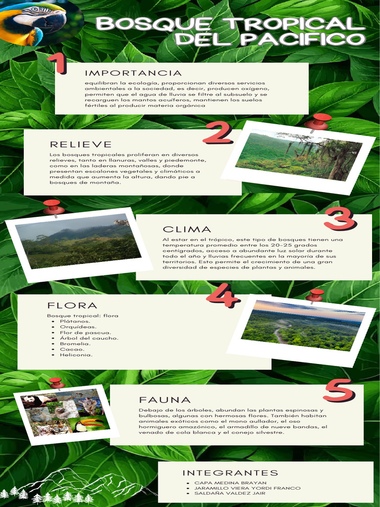 Bosque Tropical Del Pacifico | PDF