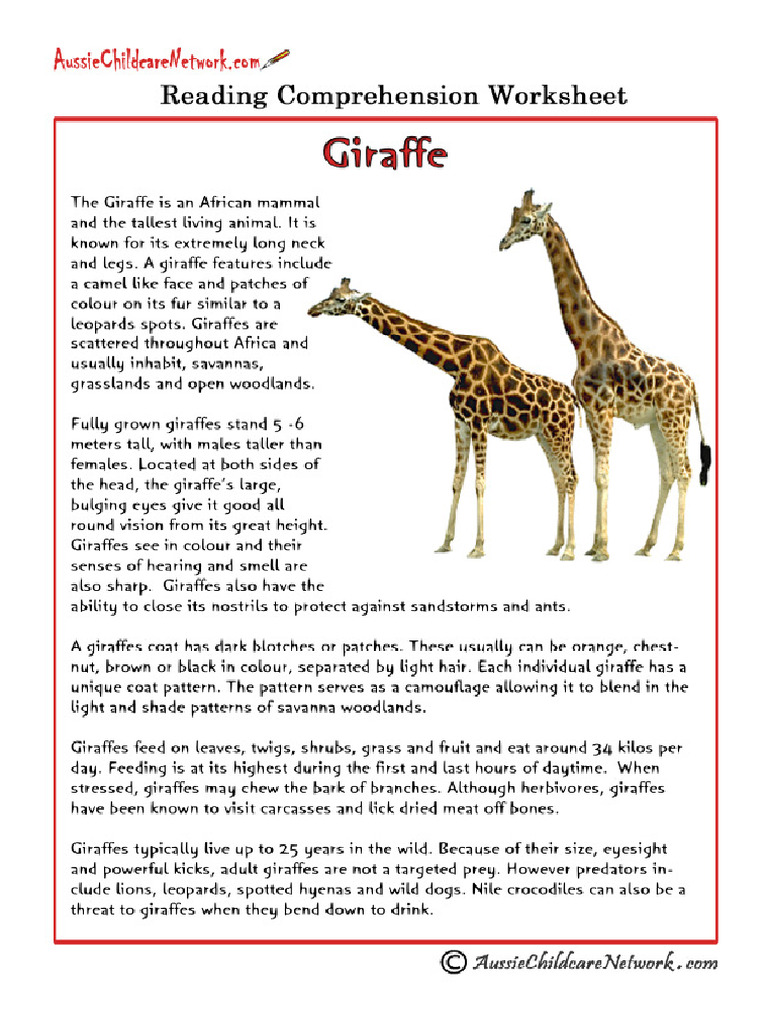 Reading Comprehension GIRAFFE | PDF