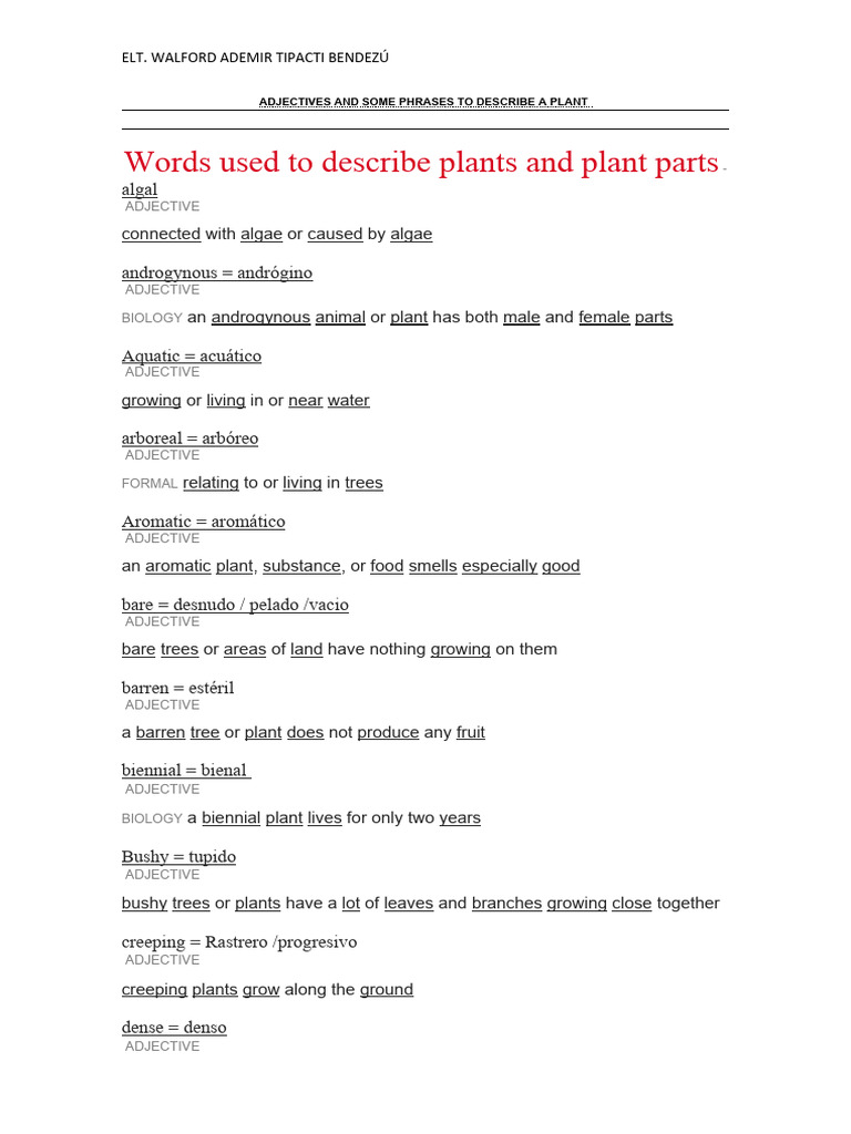 Adjectives For Describing A Plant | PDF | Plants | Flowers