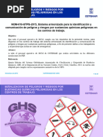 Nom-018-Stps-2015 Sga - HDS | PDF | Administración de Seguridad y Salud ...