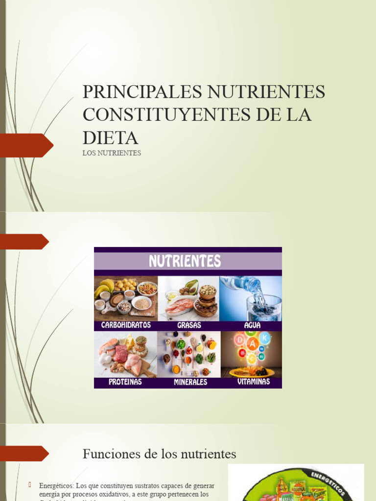 4.principales Nutrientes Constituyentes de La Dieta | PDF