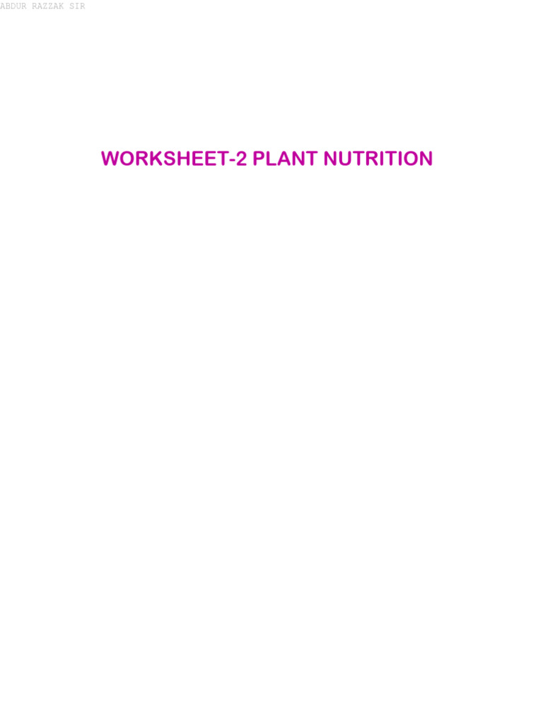 Worksheet 2 Plant Nutrition - 3 | PDF | Photosynthesis | Carbon Dioxide