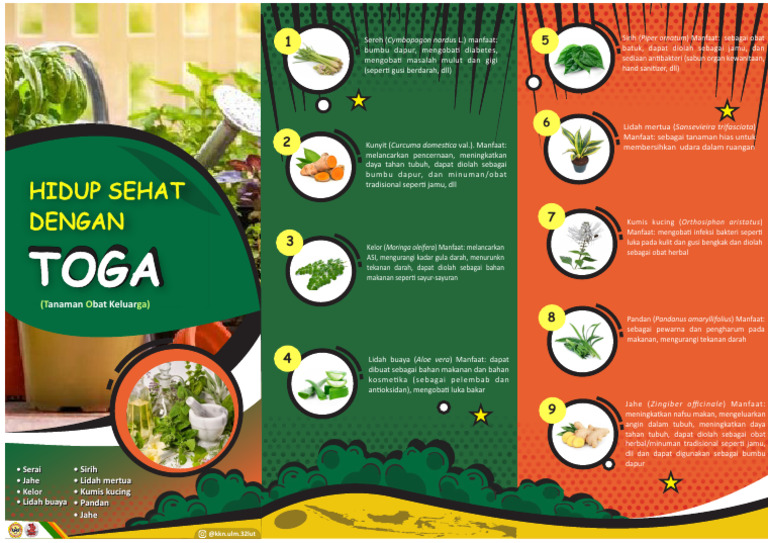 Brosur Toga | PDF | Kesehatan Holistik