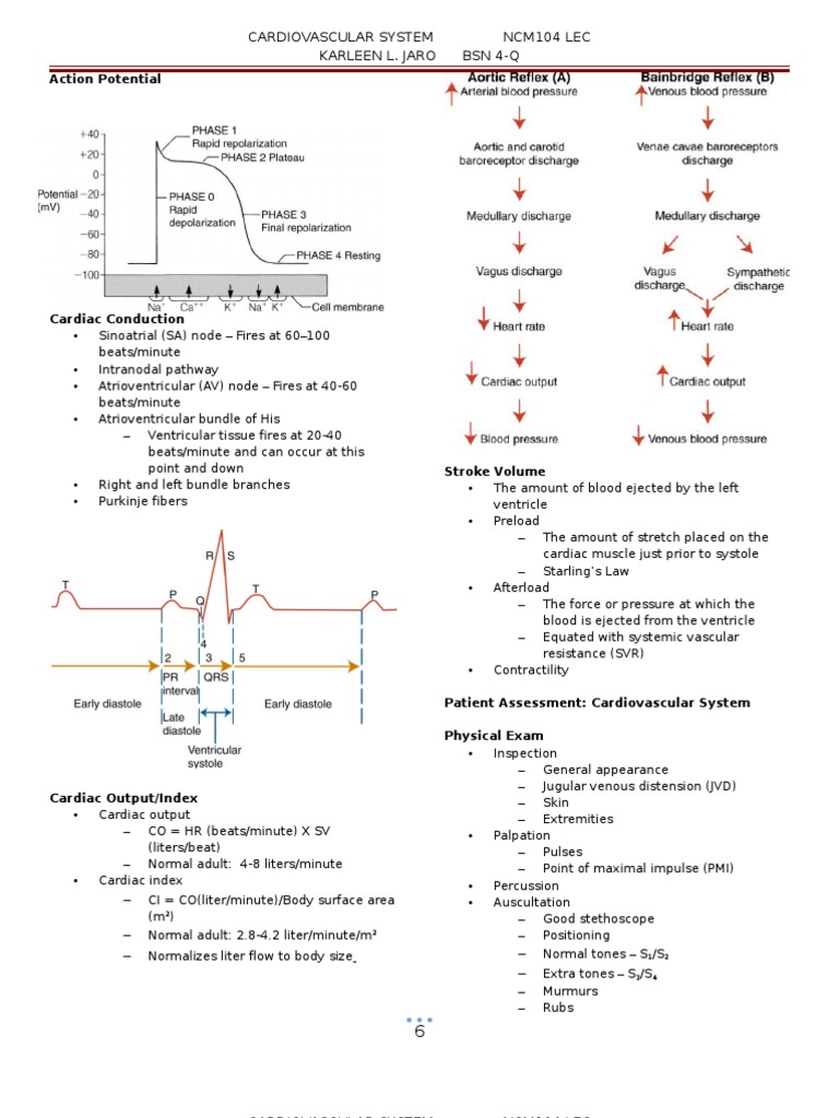 Cardio Notes | PDF | Heart | Myocardial Infarction
