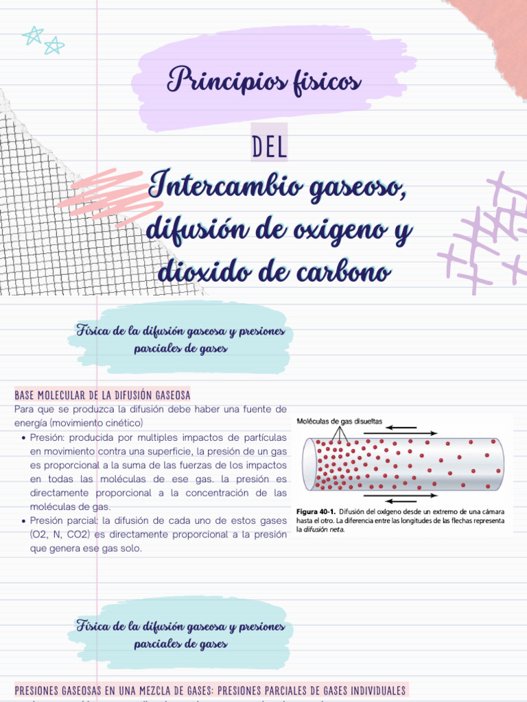 Fisio 1 | PDF | Gases | Difusión